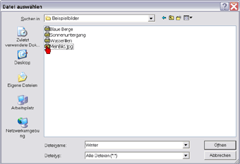 VB-fun.de - Foren-Archiv - Thema: VB6: Durchsuchen Button erstellen?